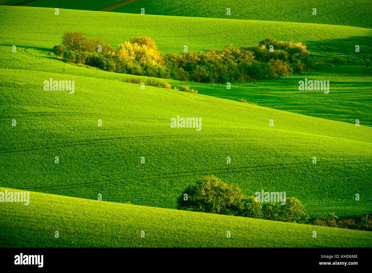Green wavy hills in South Moravia Stock Photo - Alamy