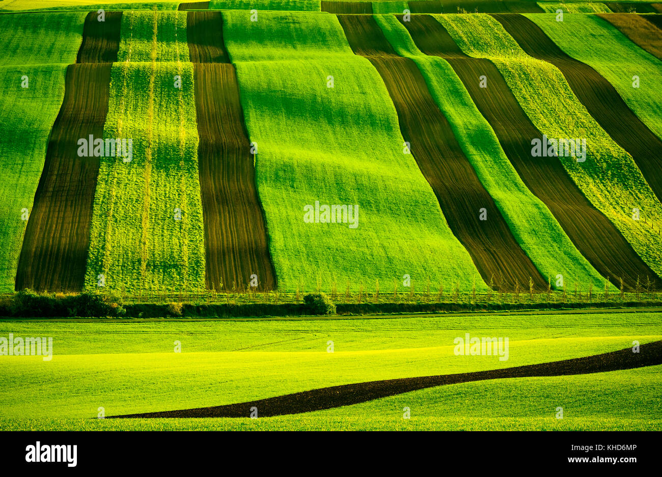 Green wavy hills in South Moravia Stock Photo - Alamy