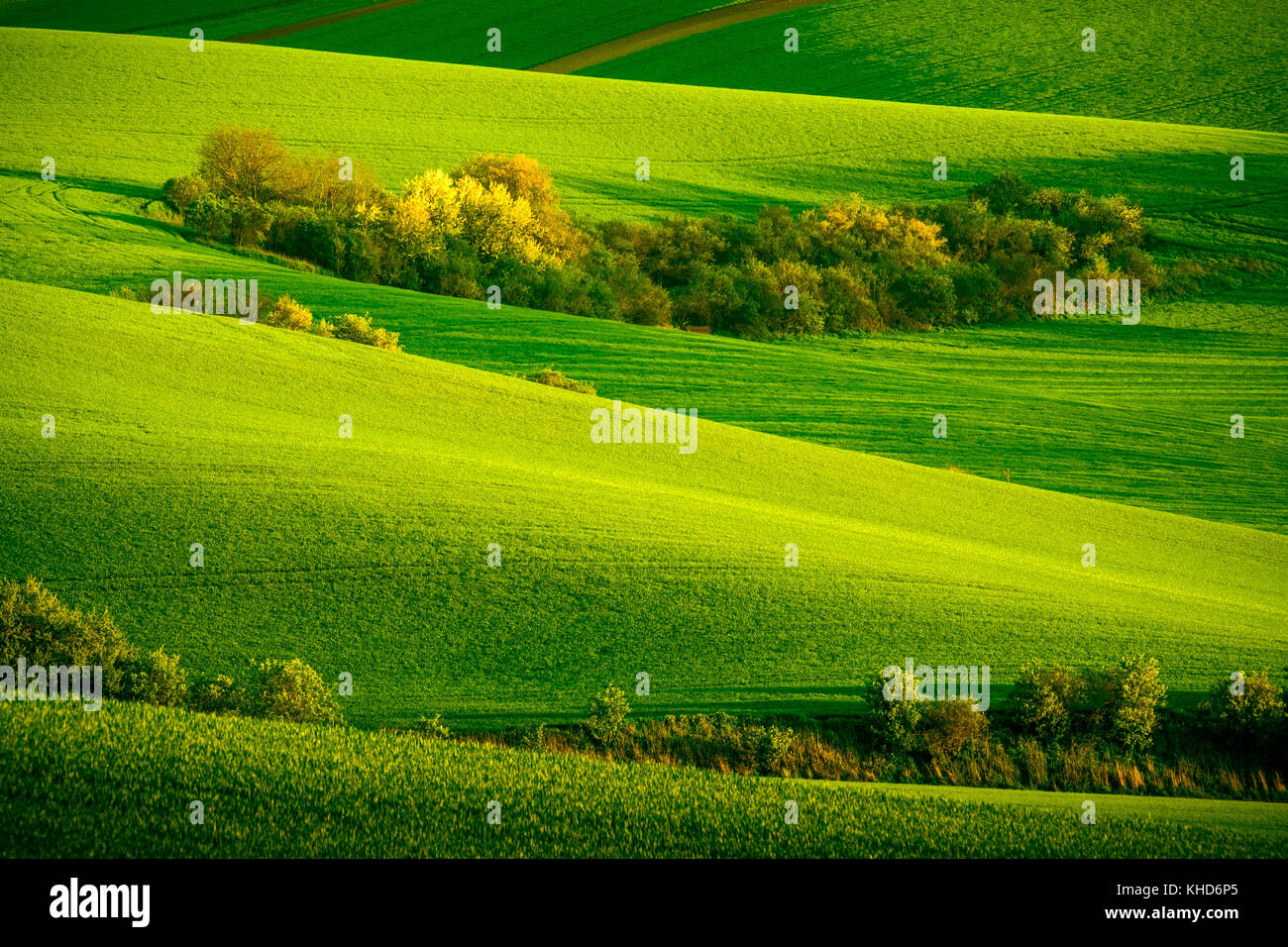 Green wavy hills in South Moravia Stock Photo - Alamy