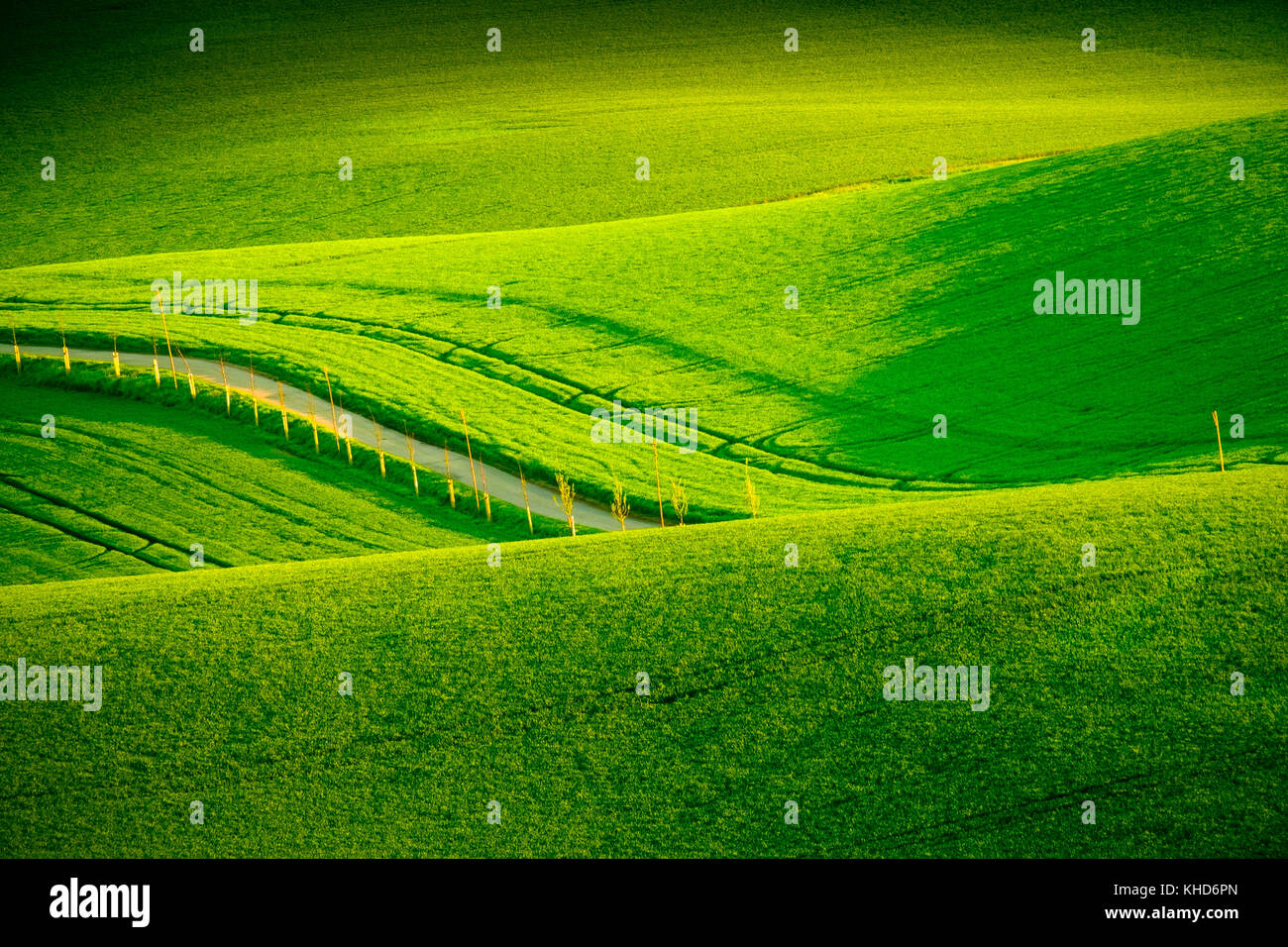 Green wavy hills in South Moravia Stock Photo - Alamy