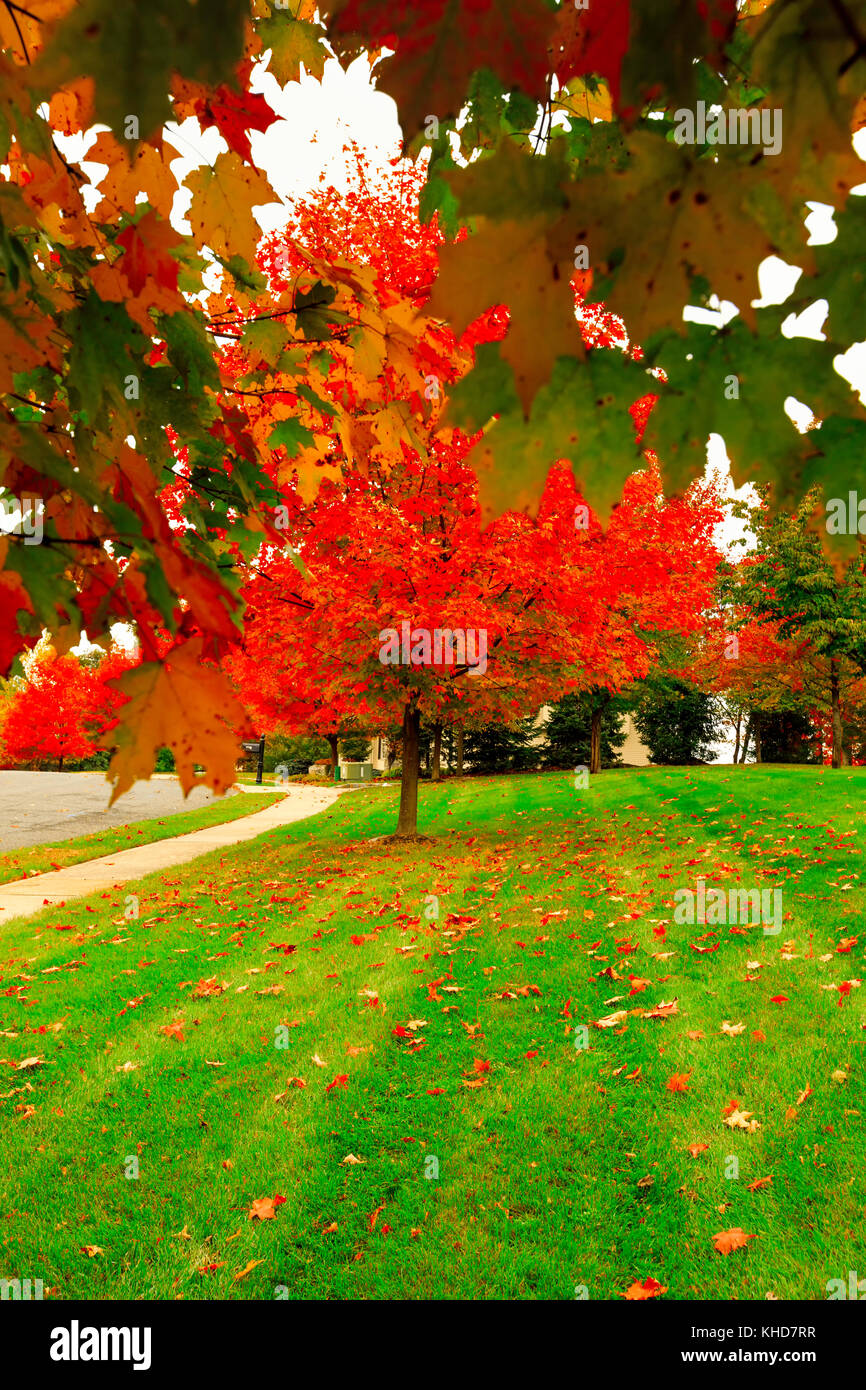 Colorful fall scenery Stock Photo - Alamy