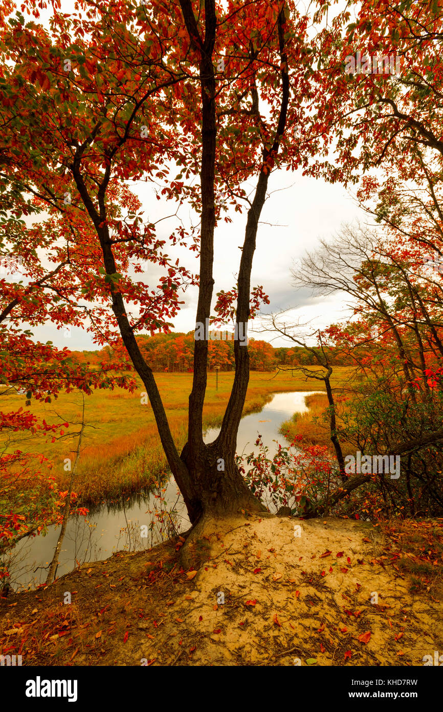 Colorful fall scenery Stock Photo - Alamy
