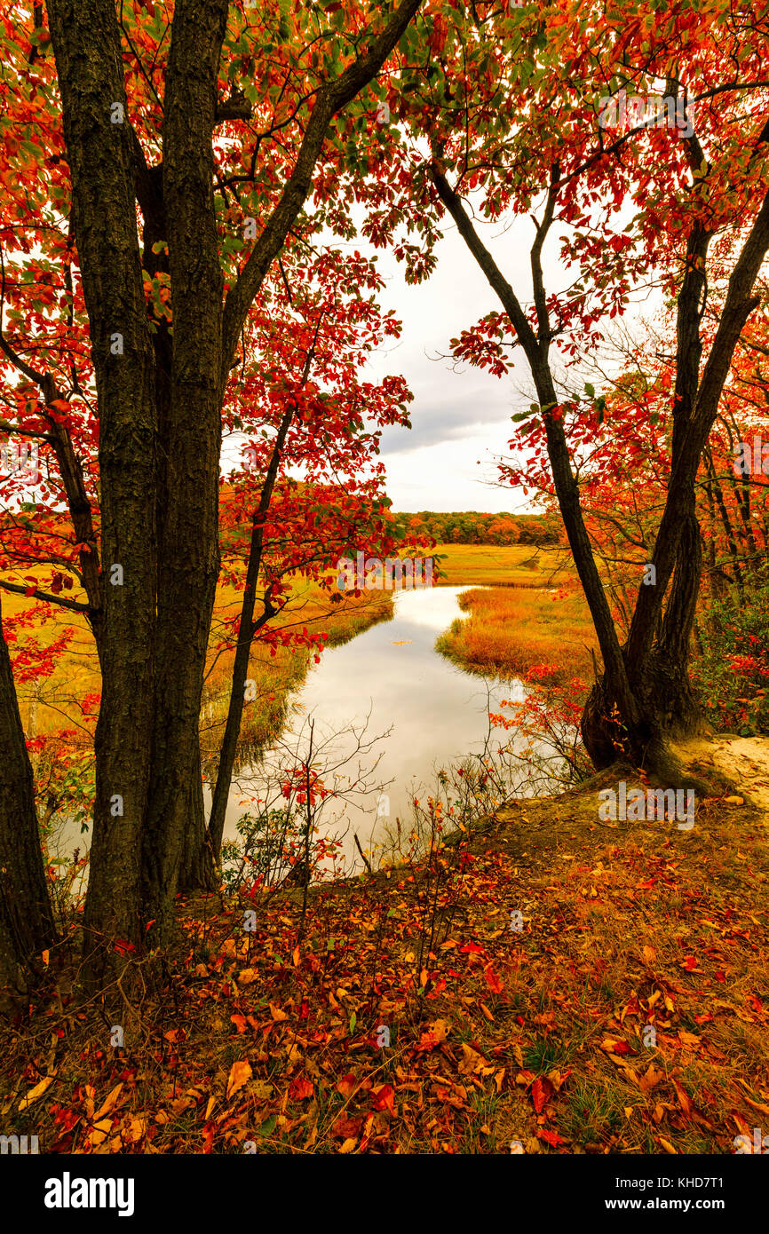 Colorful fall scenery Stock Photo - Alamy