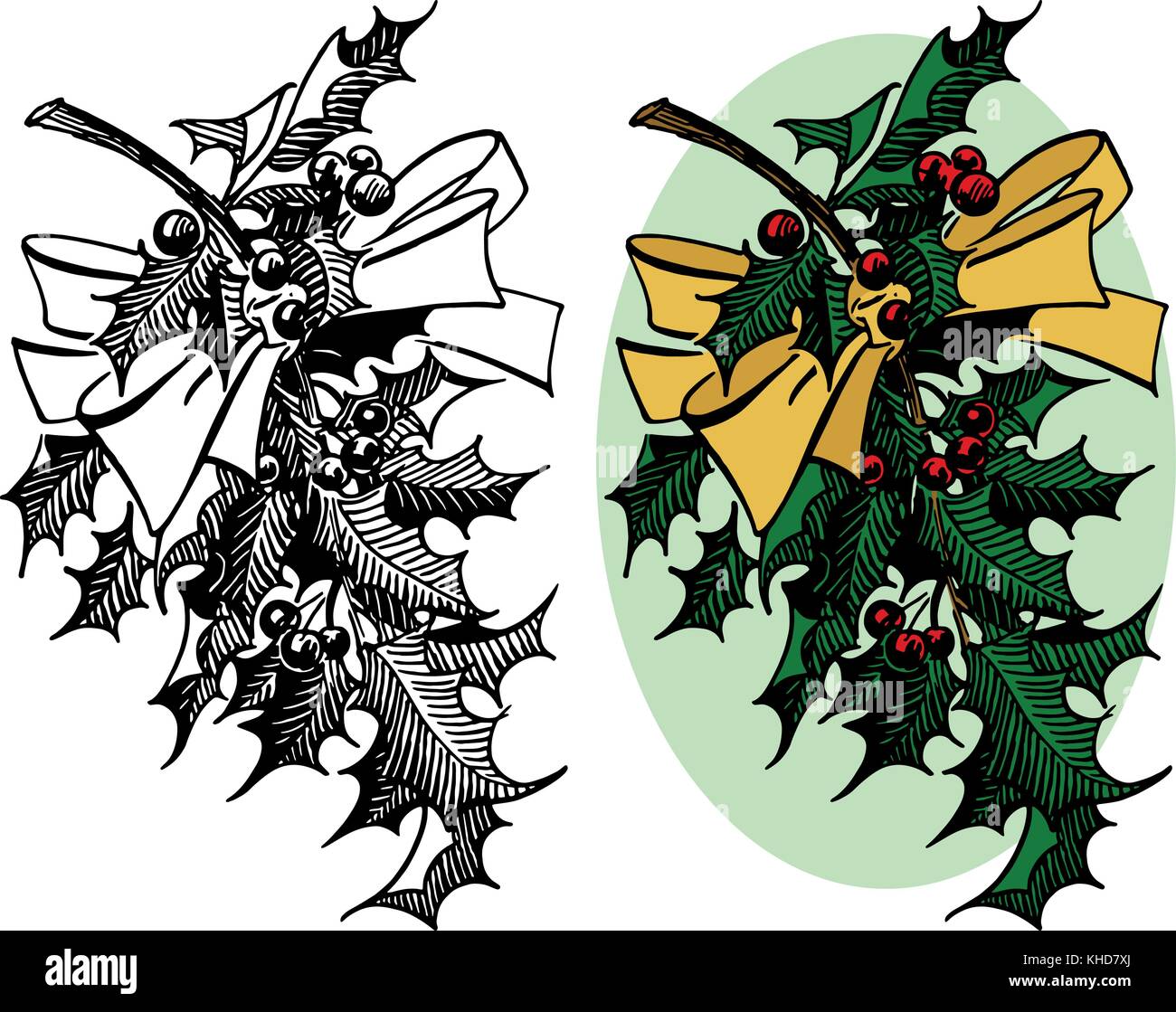 Cluster of holly berries Stock Vector Images - Alamy