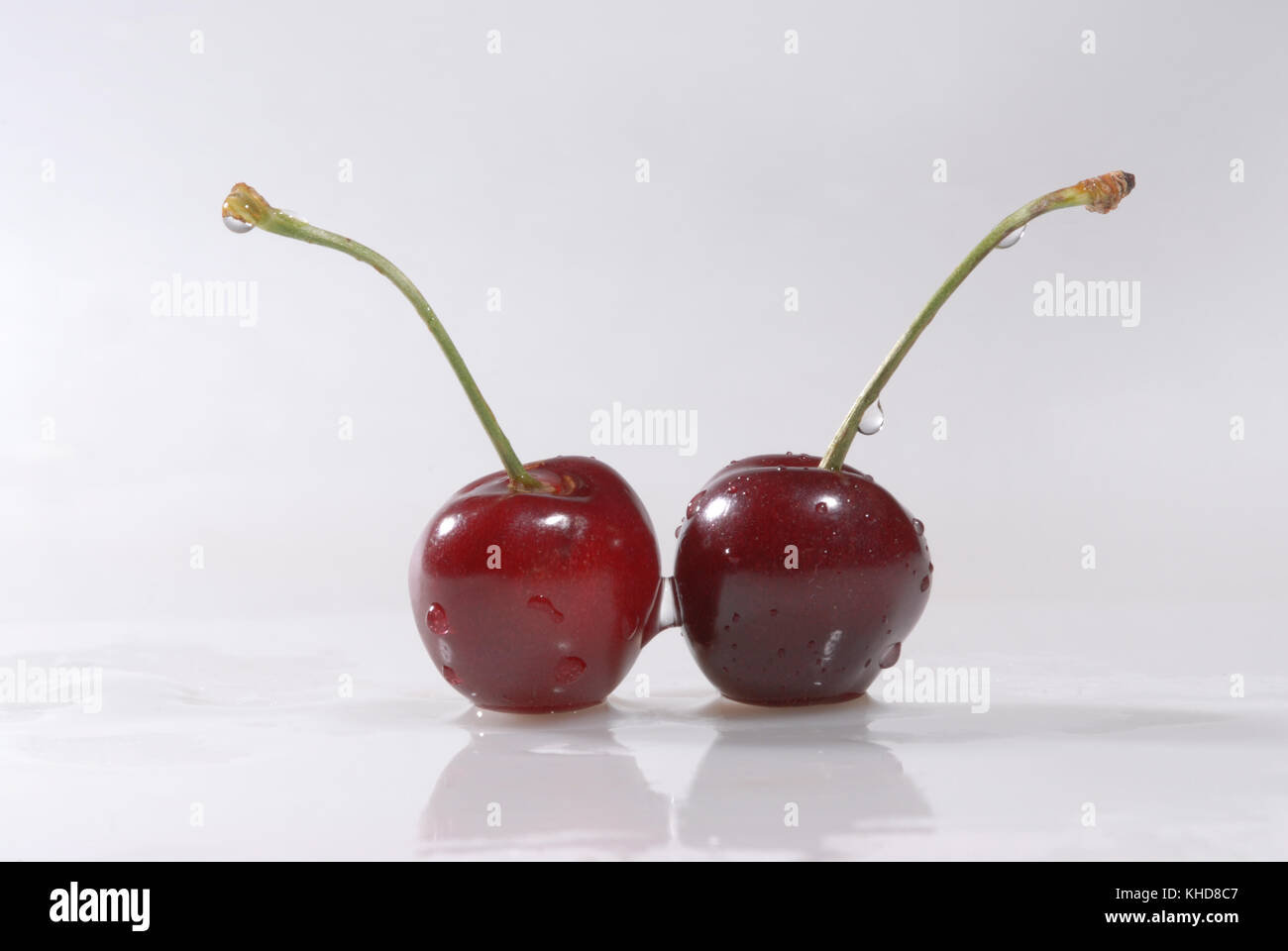 Two cherries in dewdrops next to each other, cuttings in different ...