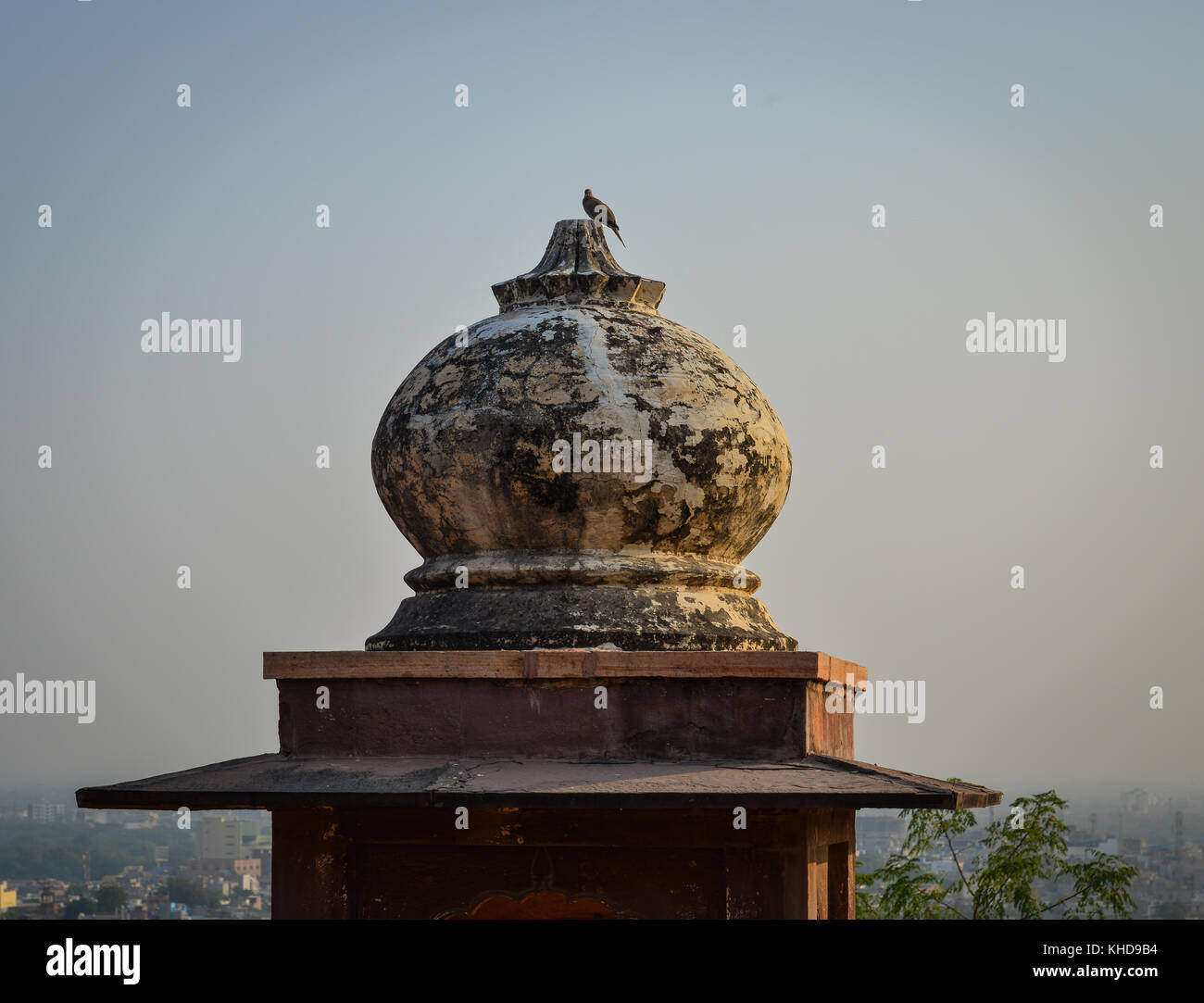 Details of old temple with a black bird in Jodhpur, India Stock Photo ...
