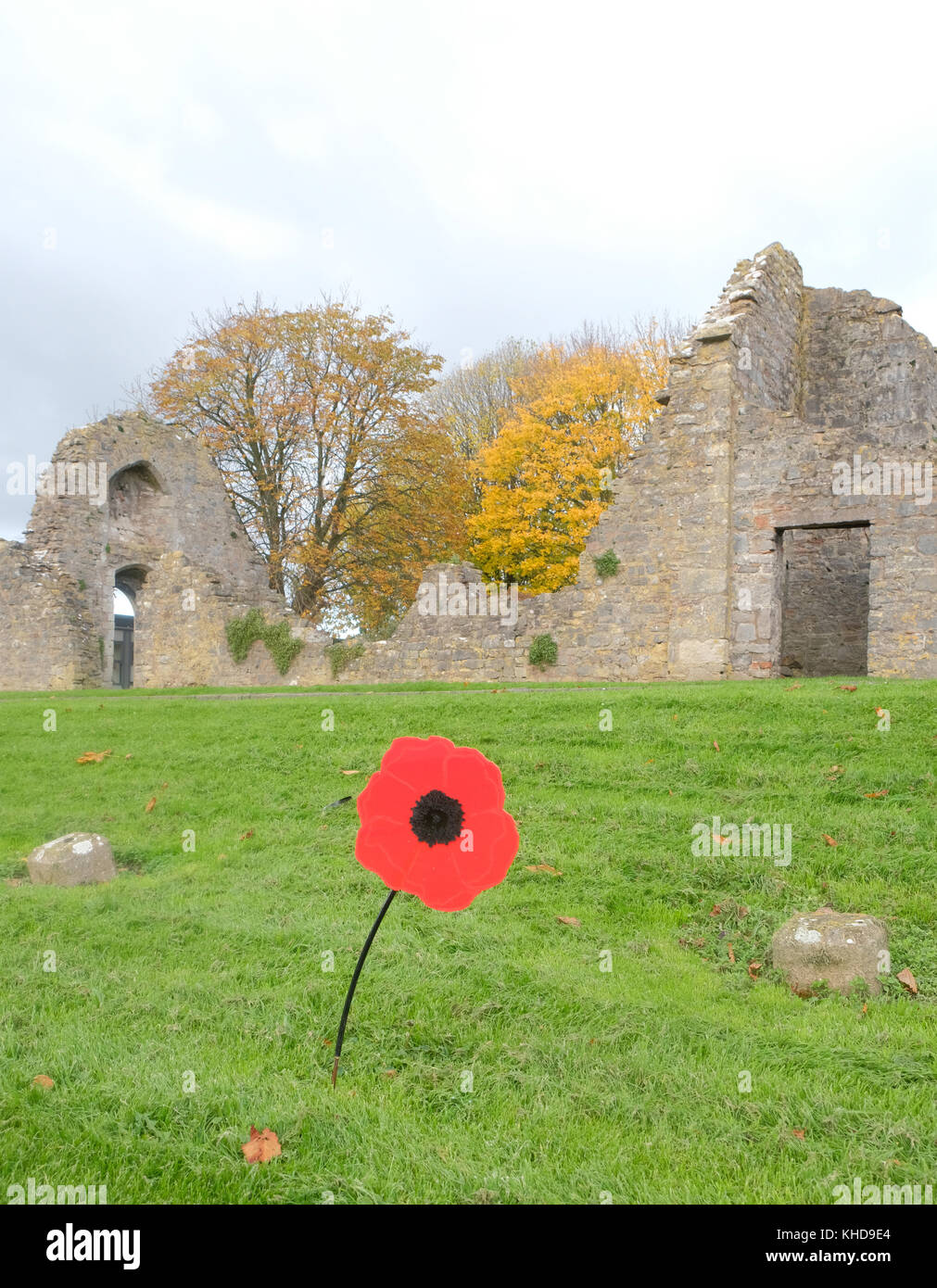 November 2017 - Lone red poppy in front of the ruins of the church of ...