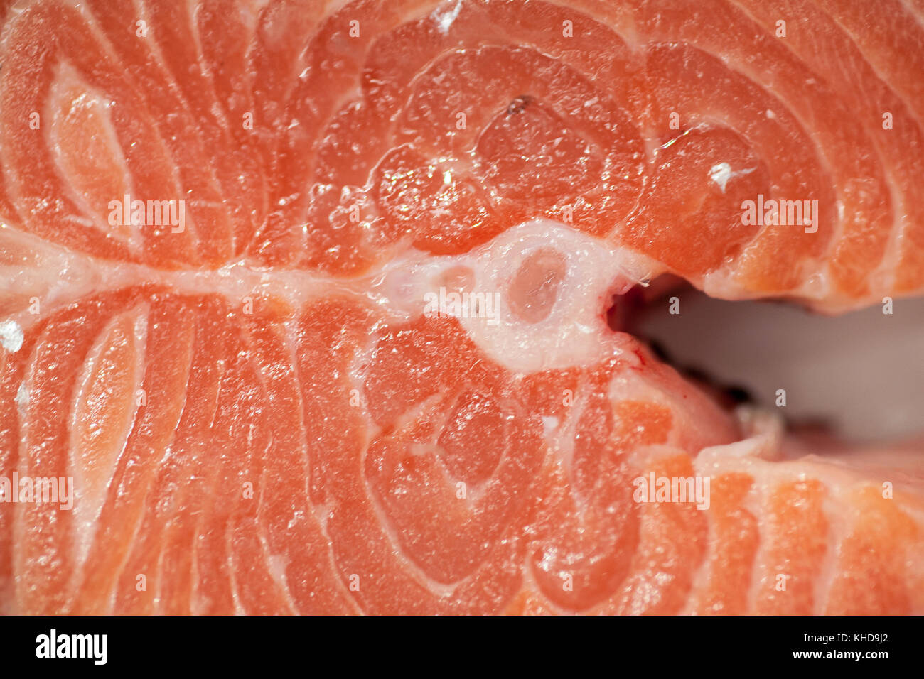 frozen red fish steaks in a market Stock Photo - Alamy