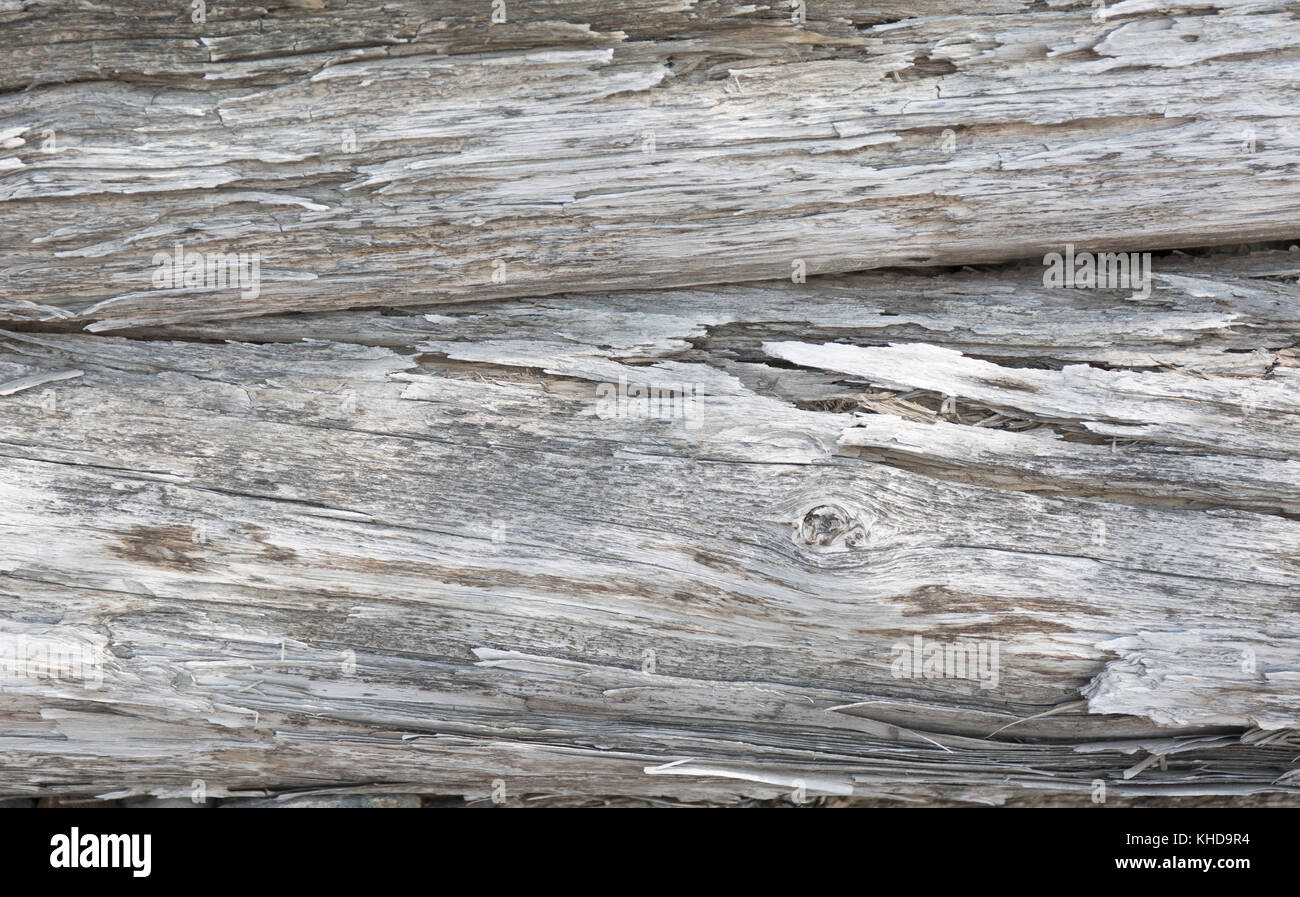 Wooden surface eroded by water. Old wood gray background Stock Photo ...