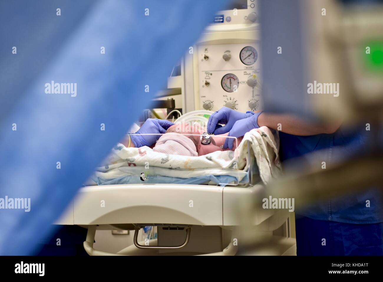 Baby In The Womb High Resolution Stock Photography and Images - Alamy