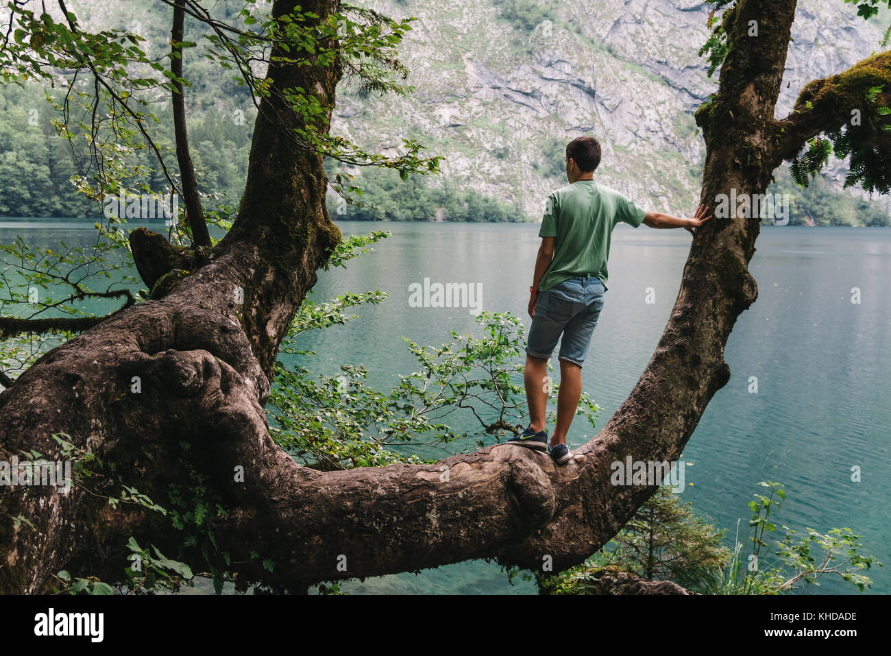 Young adult man standing on the branch of a tree looking at lake Stock ...