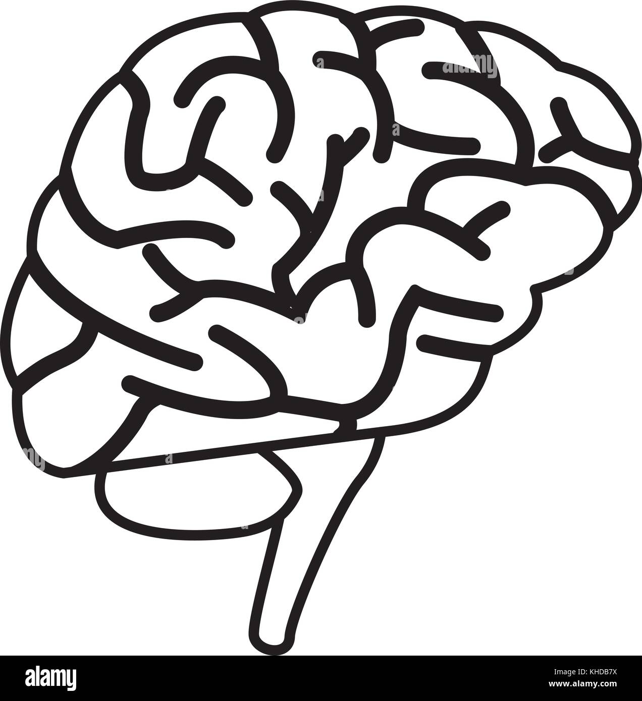 Human brain symbol Stock Vector Image & Art - Alamy