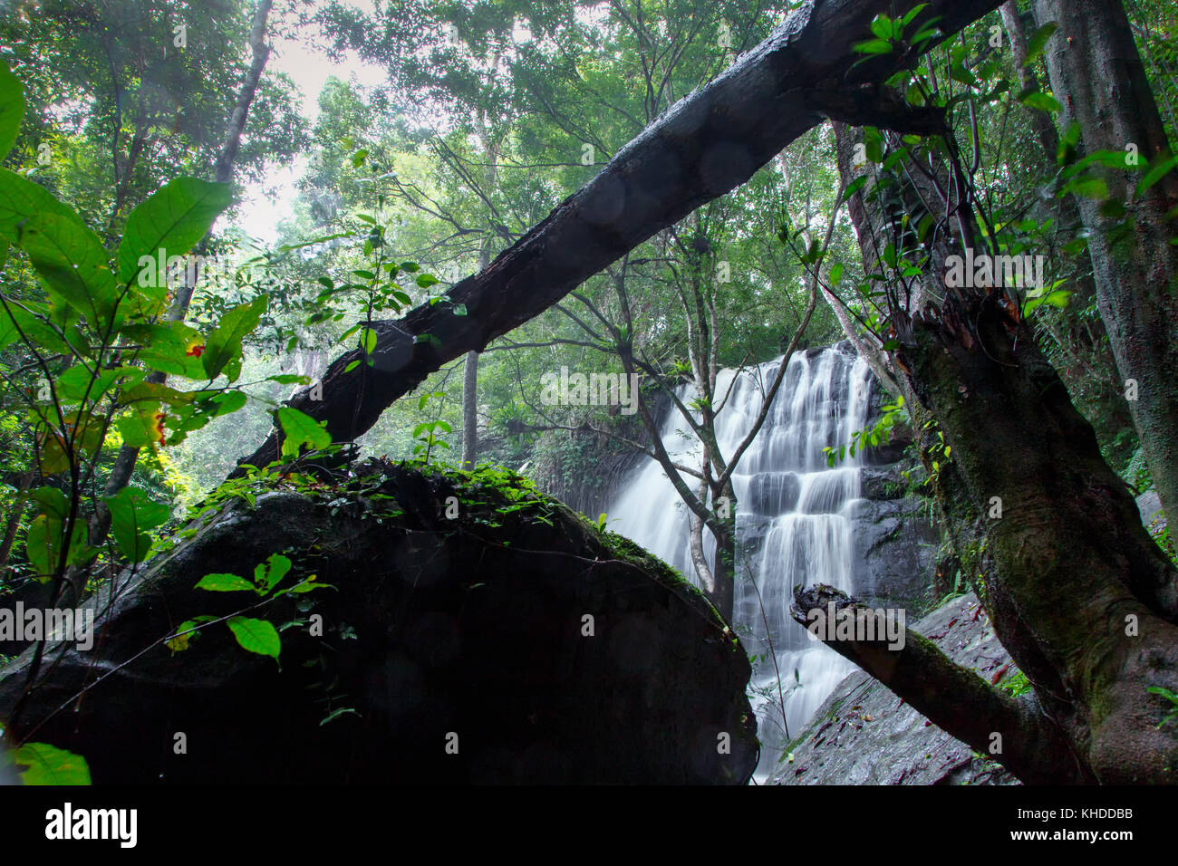 Waterfall mountain landscape select focus with fair light, Waterfall in ...