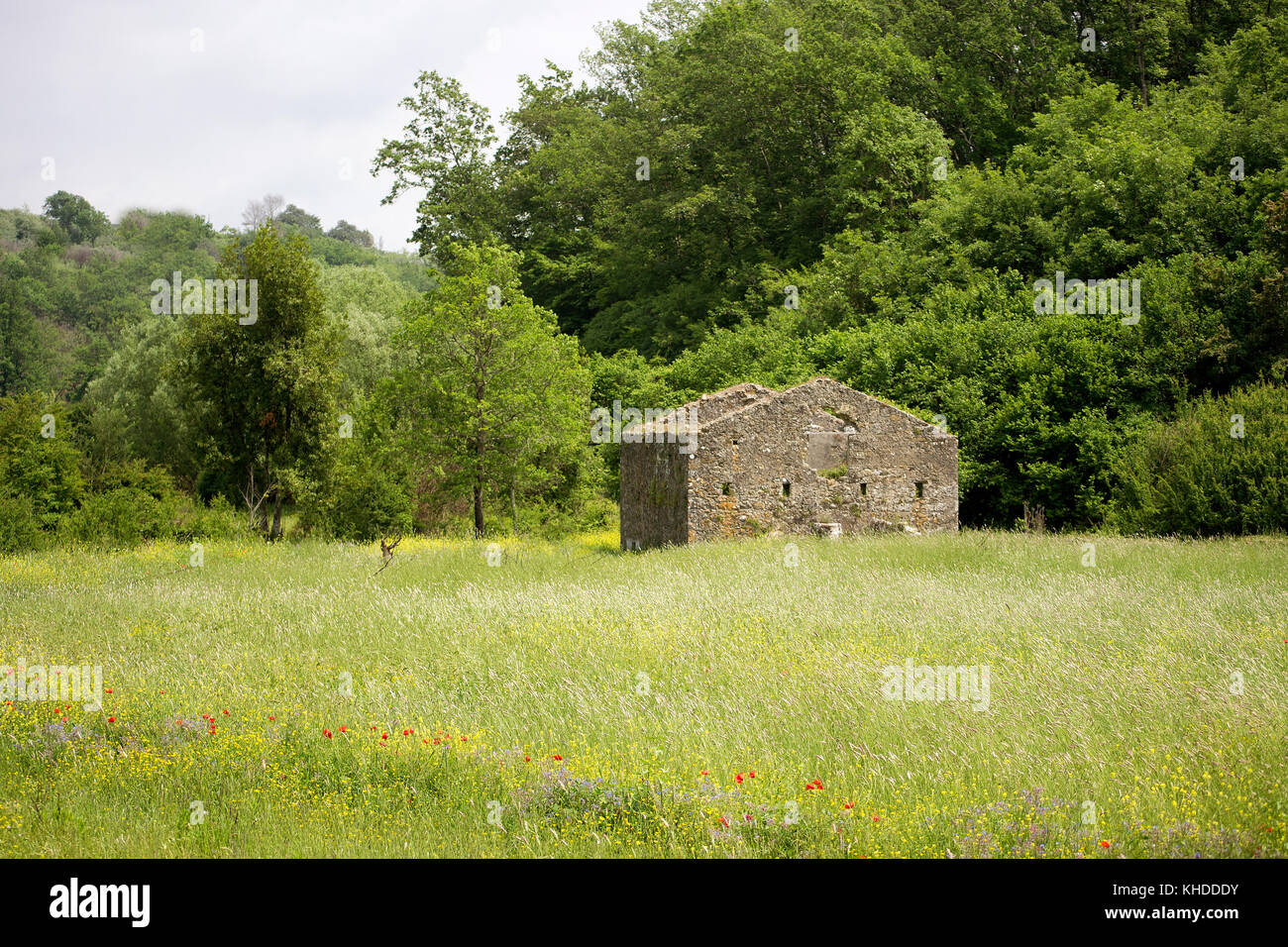 Italian countryside hi-res stock photography and images - Alamy