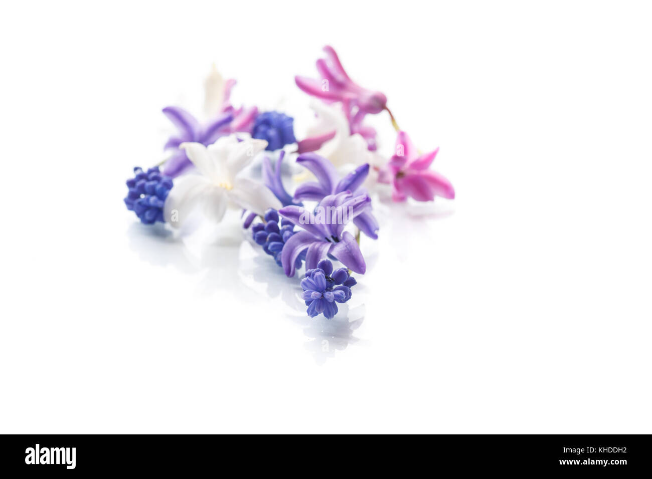 beautiful bouquet of spring flowers on a white background Stock Photo ...