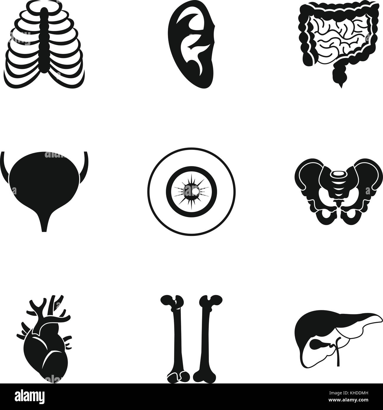 Structure of body icons set, simple style Stock Vector Image & Art - Alamy