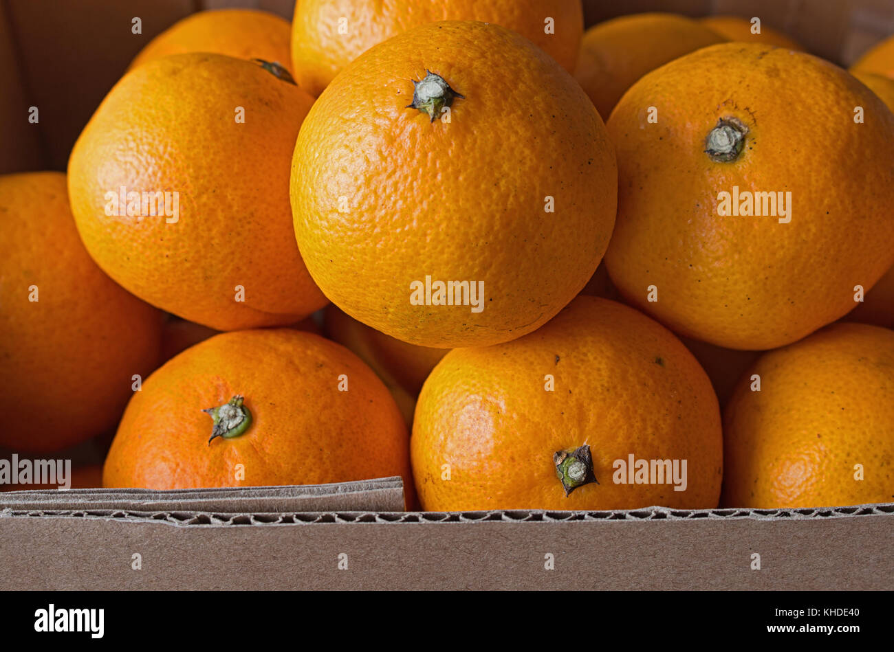 Mandarin Oranges High Resolution Stock Photography and Images - Alamy