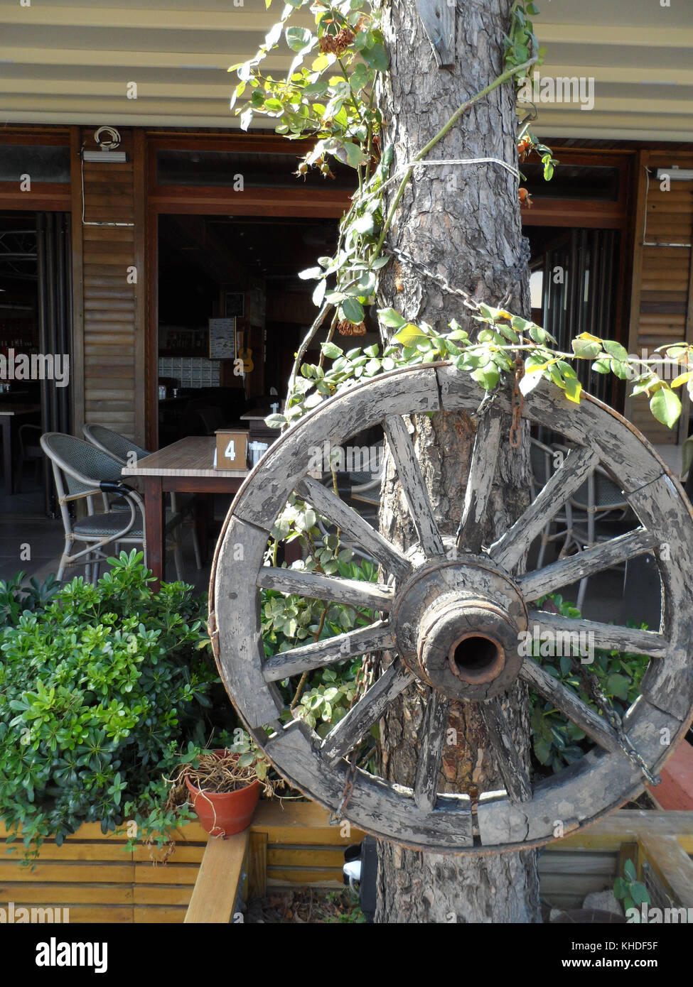 Part of a wooden wagon wheel chained to a tree as a garden feature at a ...