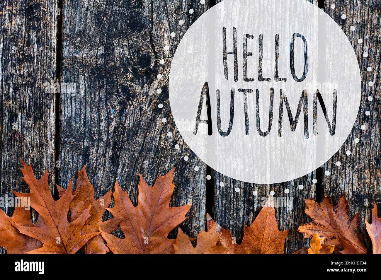 hello autumn background Stock Photo - Alamy