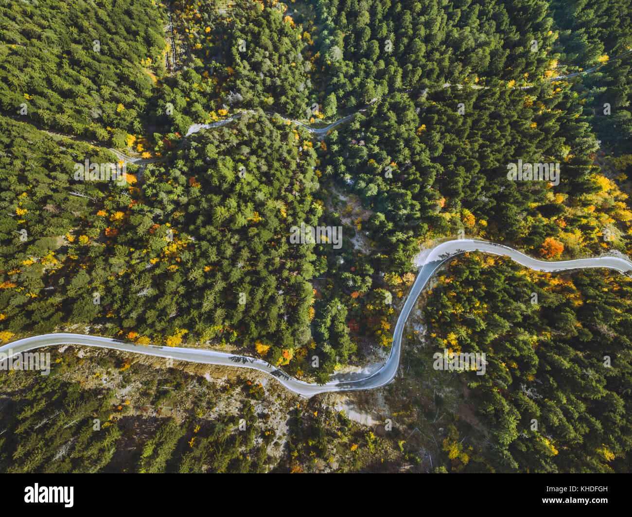 aerial landscape of winding road in the forest, beautiful serpentine ...
