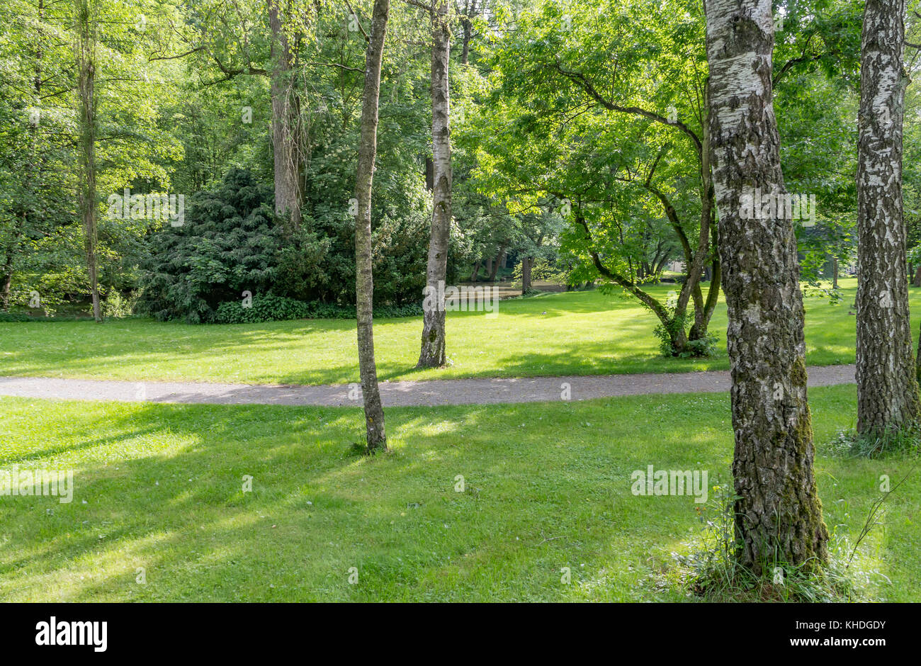 idyllic park scenery with trees and grass at summer time Stock Photo ...