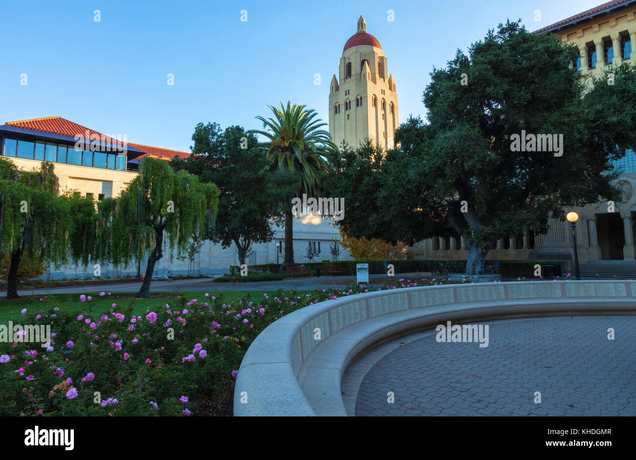 Stanford University Campus, with the Hoover Tower , at sunrise, Palo ...