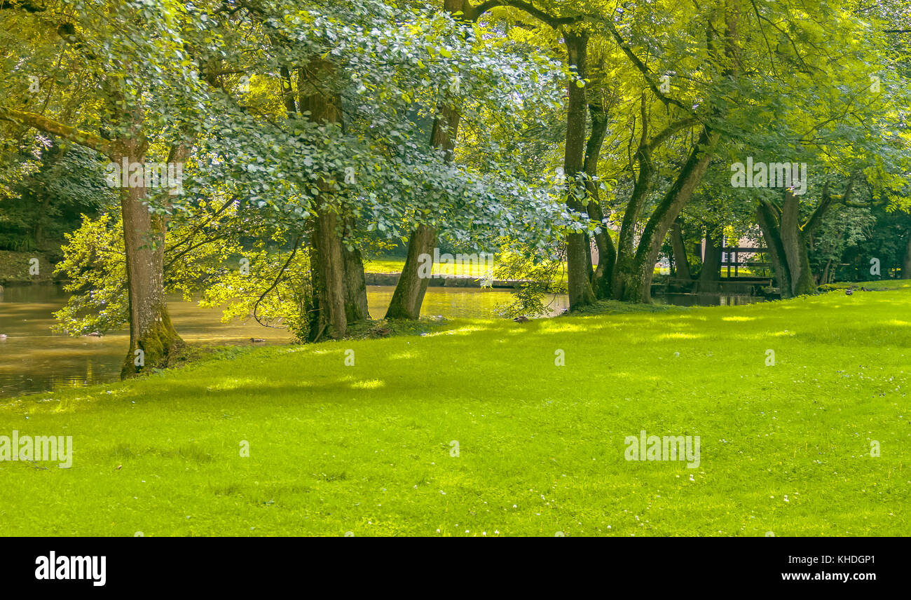 peaceful sunny park scenery with idyllic small lake at summer time ...