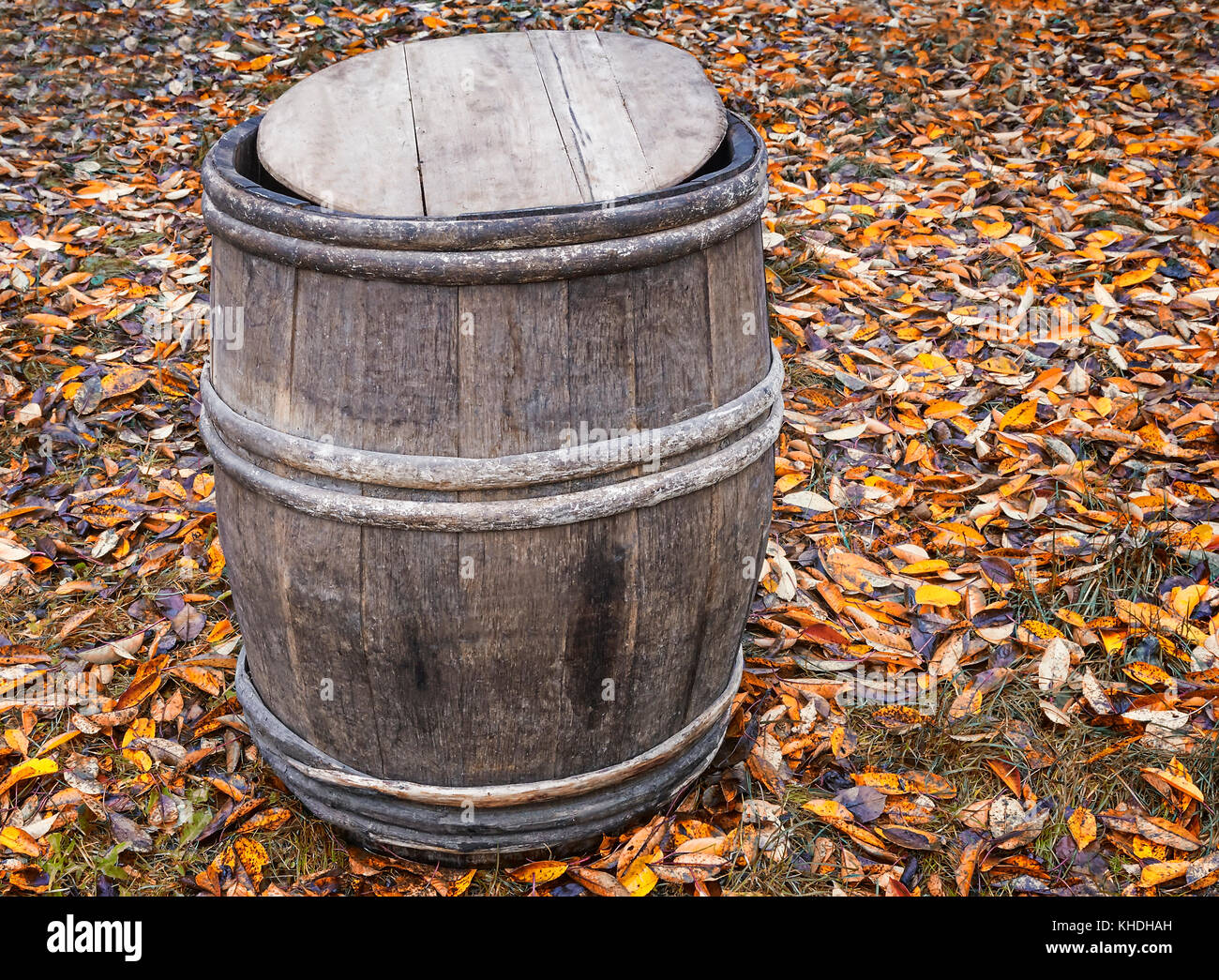Vintage oak barrel with wooden hoops on the ground surrounded by yellow ...