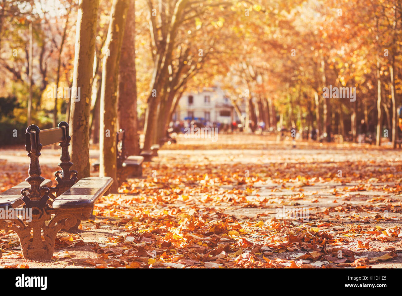 bench in autumn park in Paris, romantic fall background Stock Photo - Alamy