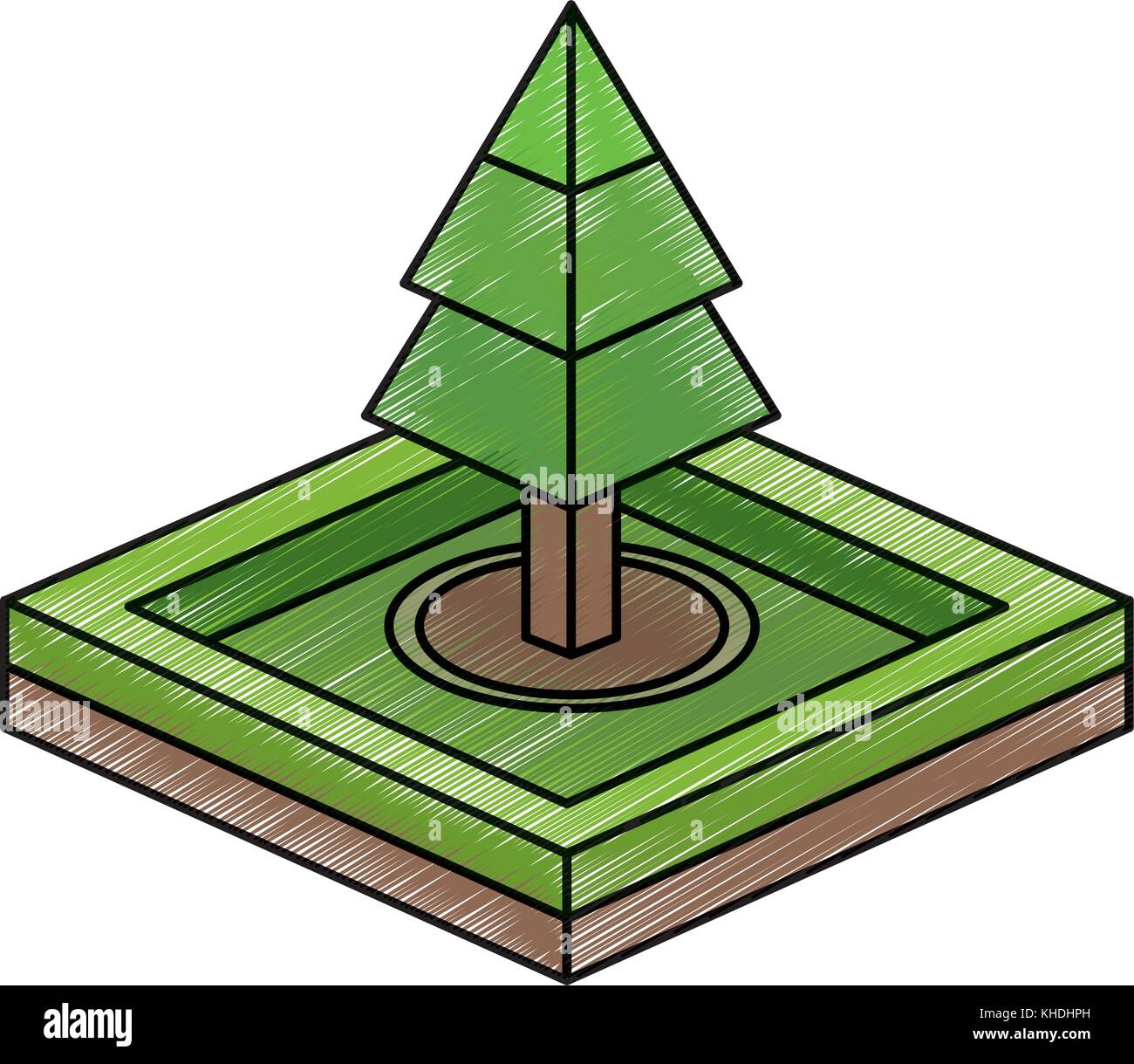 Pine tree of plant nature and botany theme Isolated design Vector ...