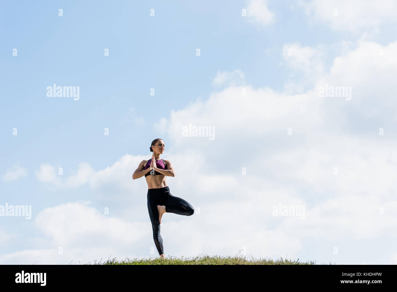 woman in tree pose Stock Photo - Alamy