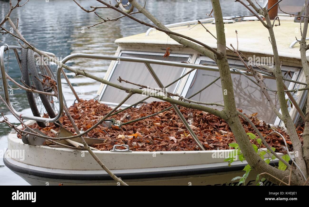 fallen leaves on a boat Stock Photo - Alamy