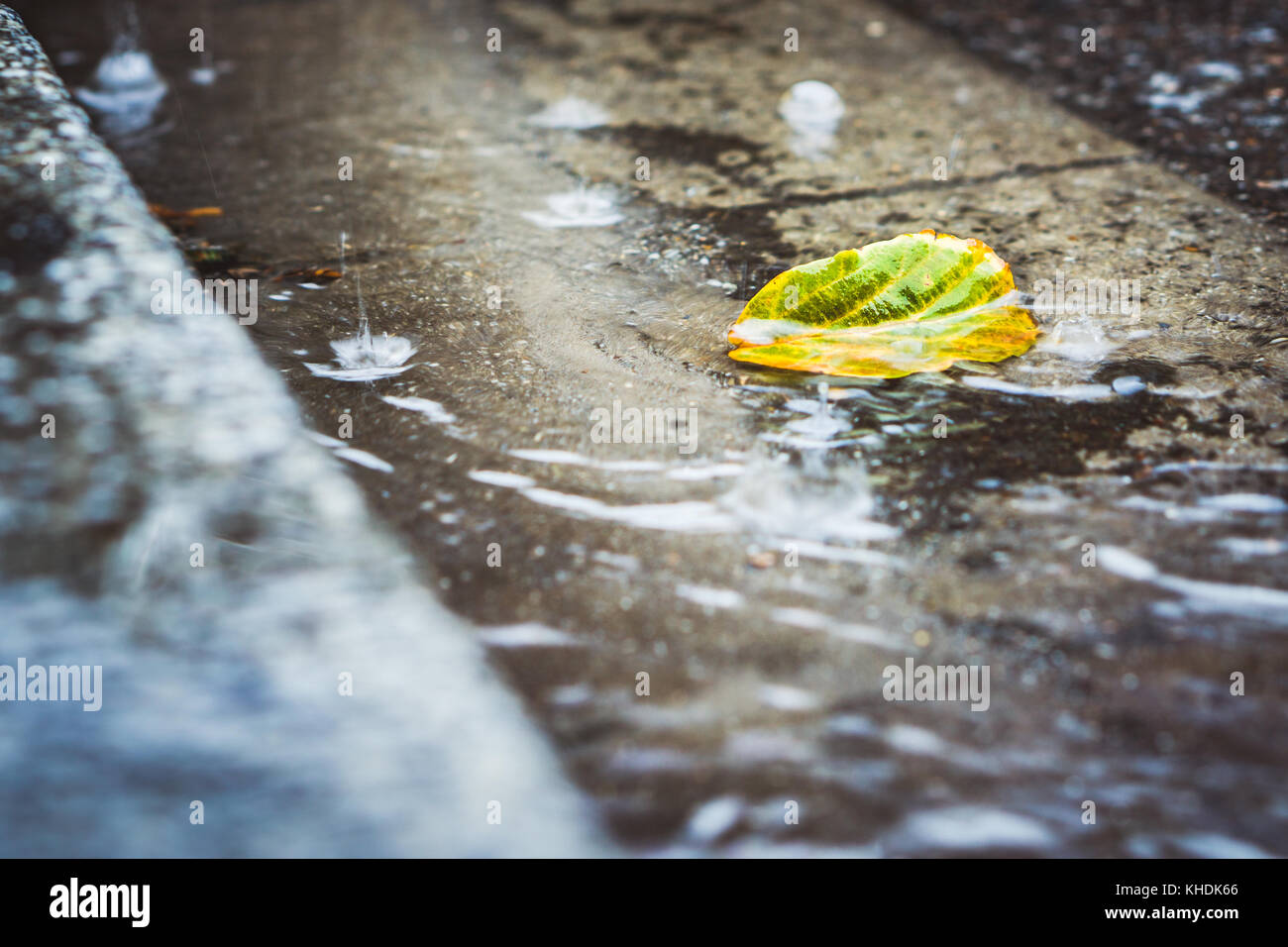 Raindrop falling on street hi-res stock photography and images - Alamy