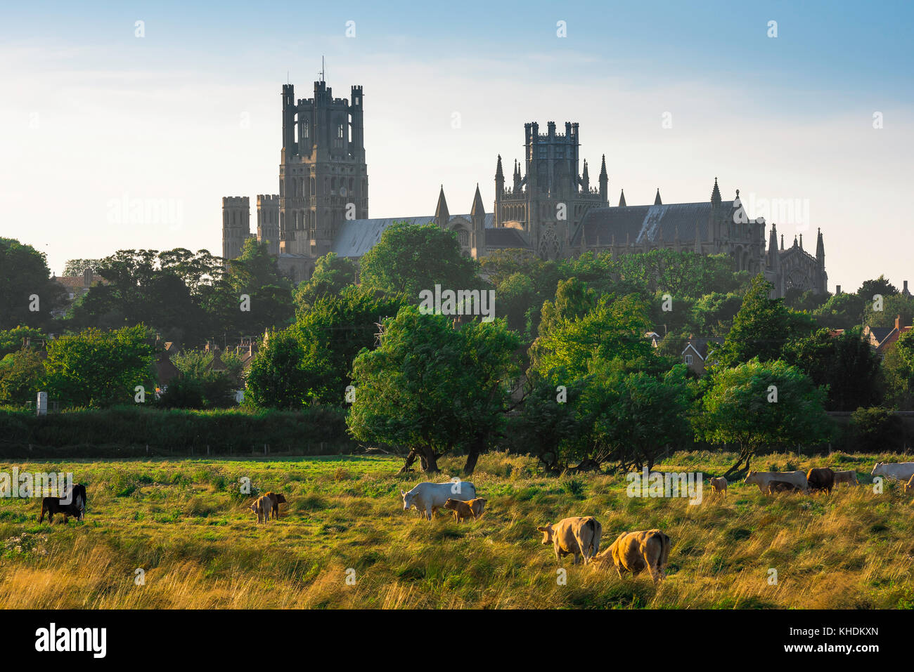 Ely Cambridgeshire, skyline of Ely showing the city's medieval ...