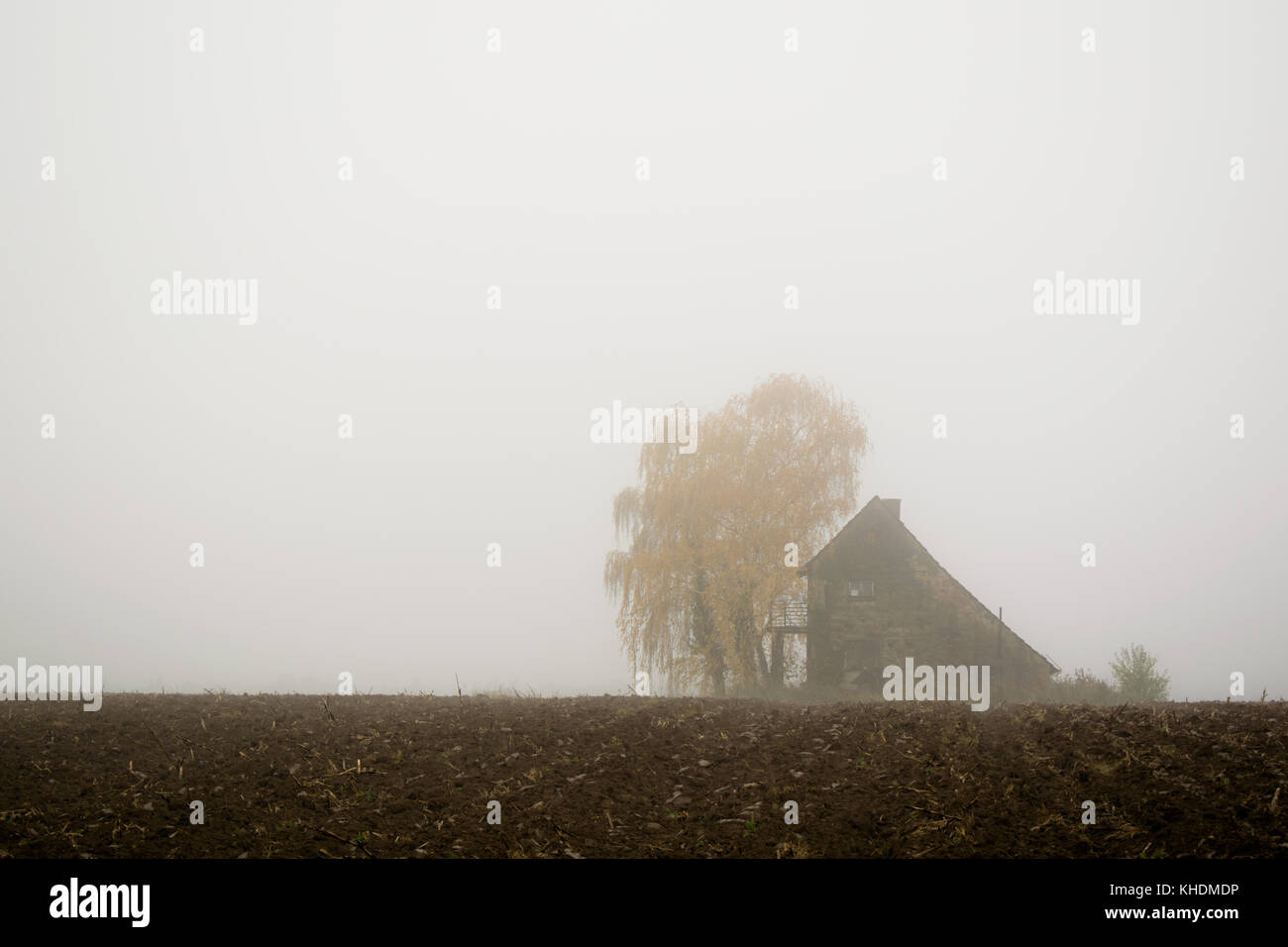 lonely house in mist Stock Photo - Alamy