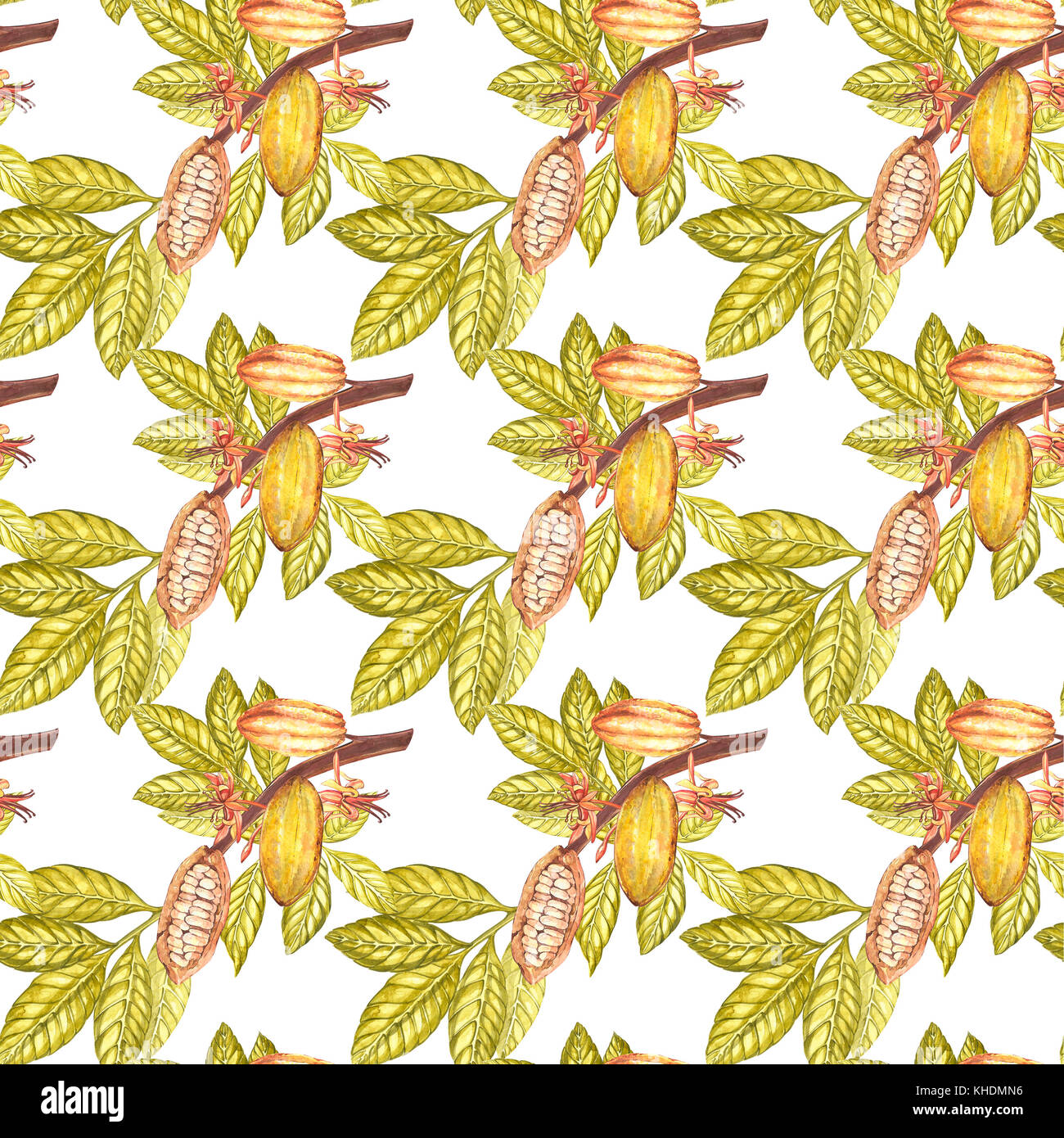 Cacao beans vintage seamless pattern. Cacao Watercolor botanical ...