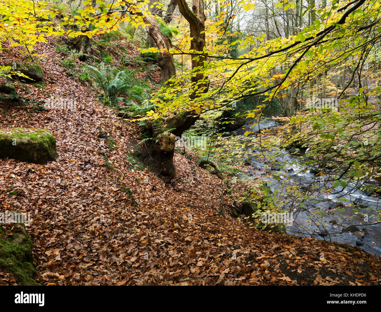 Harden Beck Harden West Yorkshire High Resolution Stock Photography and ...