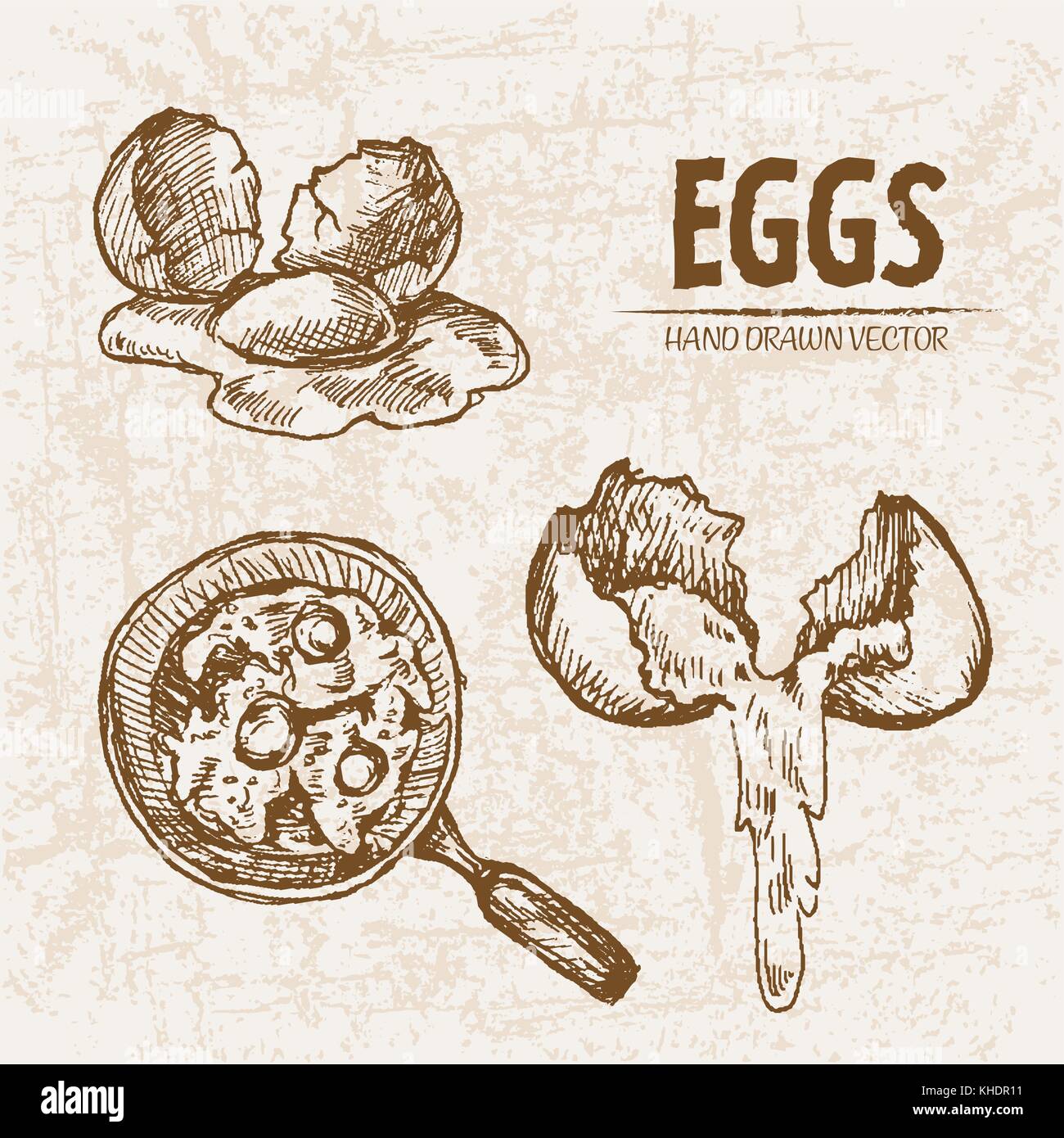 Digital vector detailed line art cooking eggs in frying pan hand drawn ...