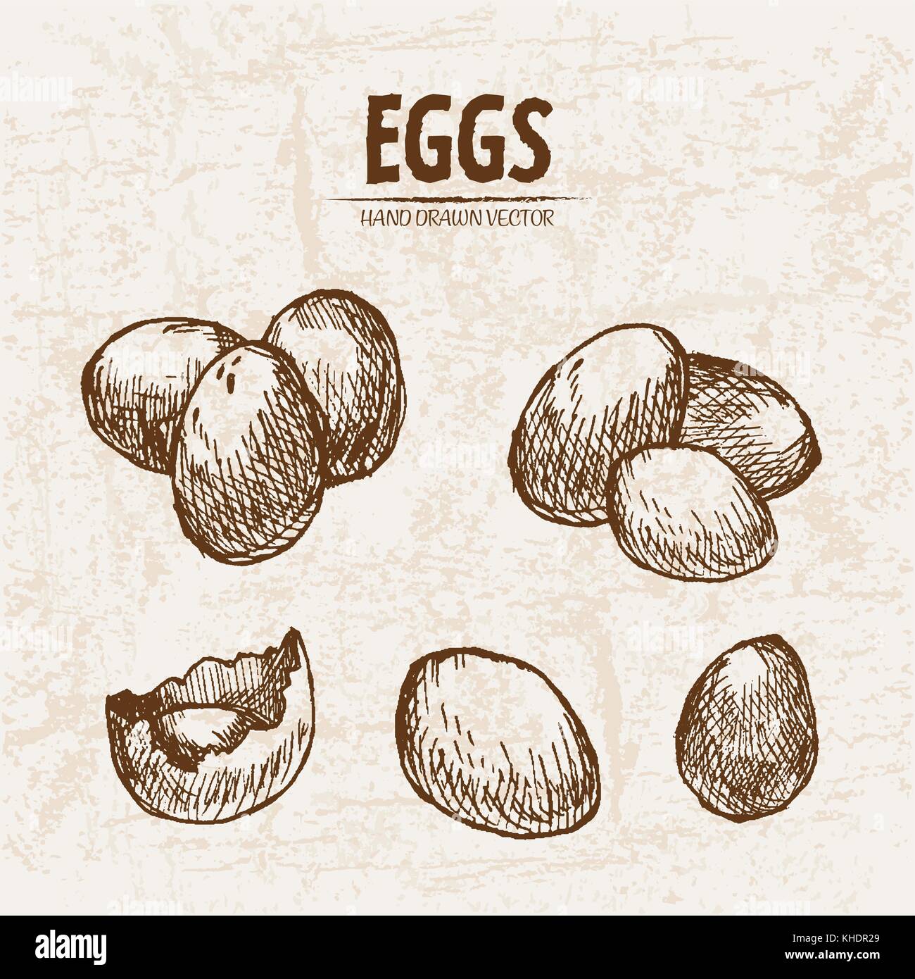 Digital vector detailed line art splitted, scratch and whole eggs hand ...