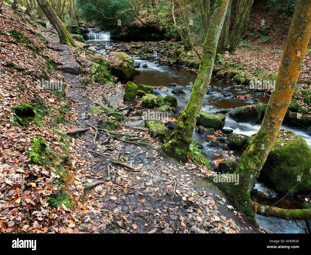 Harden Beck Harden West Yorkshire High Resolution Stock Photography and ...