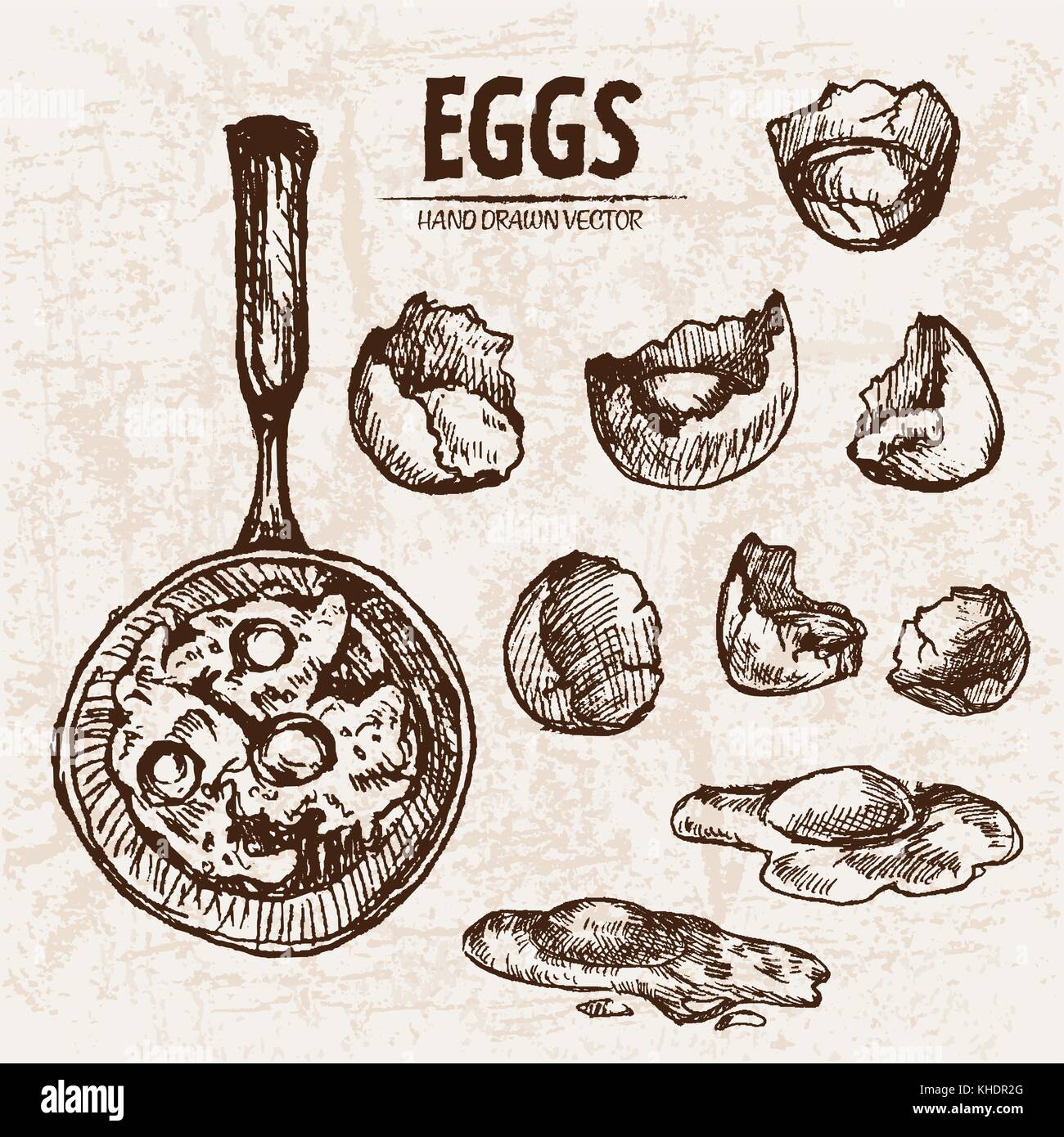 Digital vector detailed line art cooking eggs in frying pan hand drawn ...