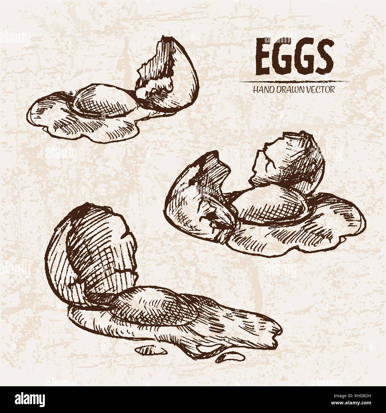 Digital vector detailed line art splitted scratch eggs hand drawn retro ...