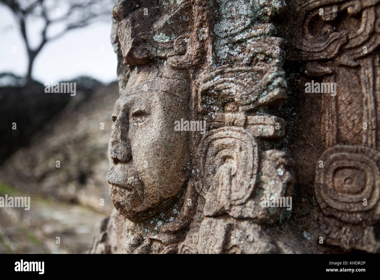 King Zots Choj Muan: Mayan Stela in Tonina, Chiapas Stock Photo - Alamy