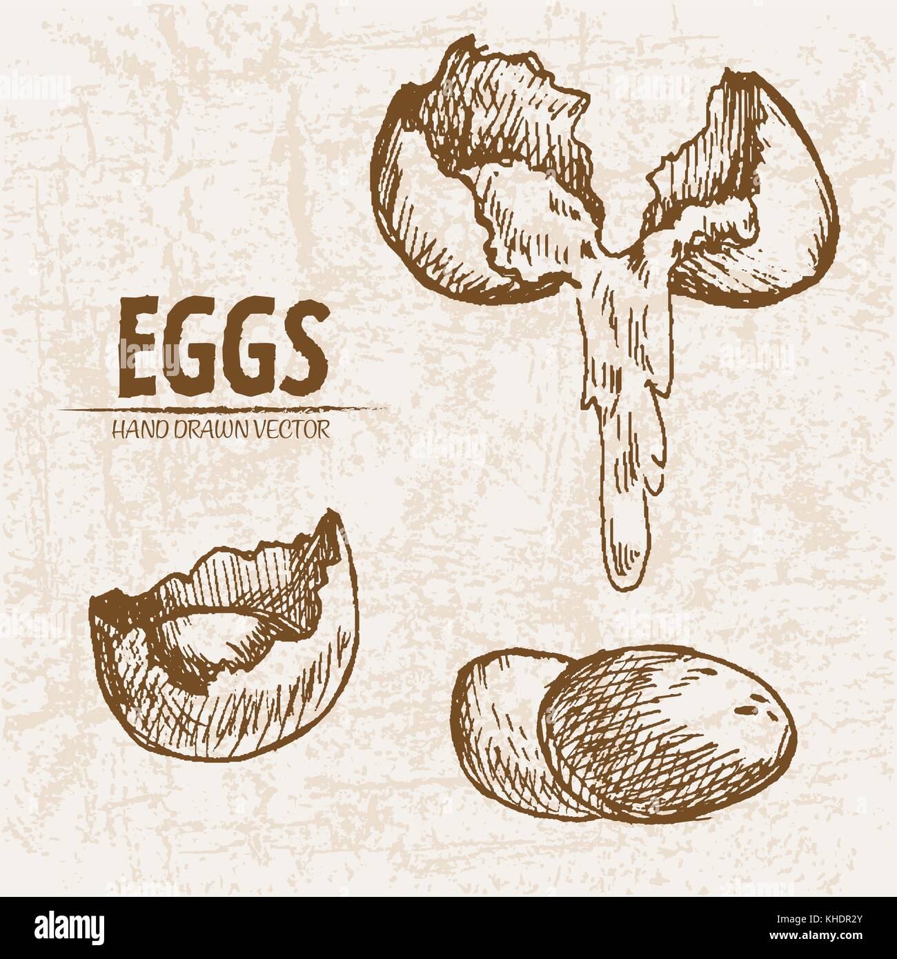 Digital vector detailed line art splitted scratch and whole eggs hand ...