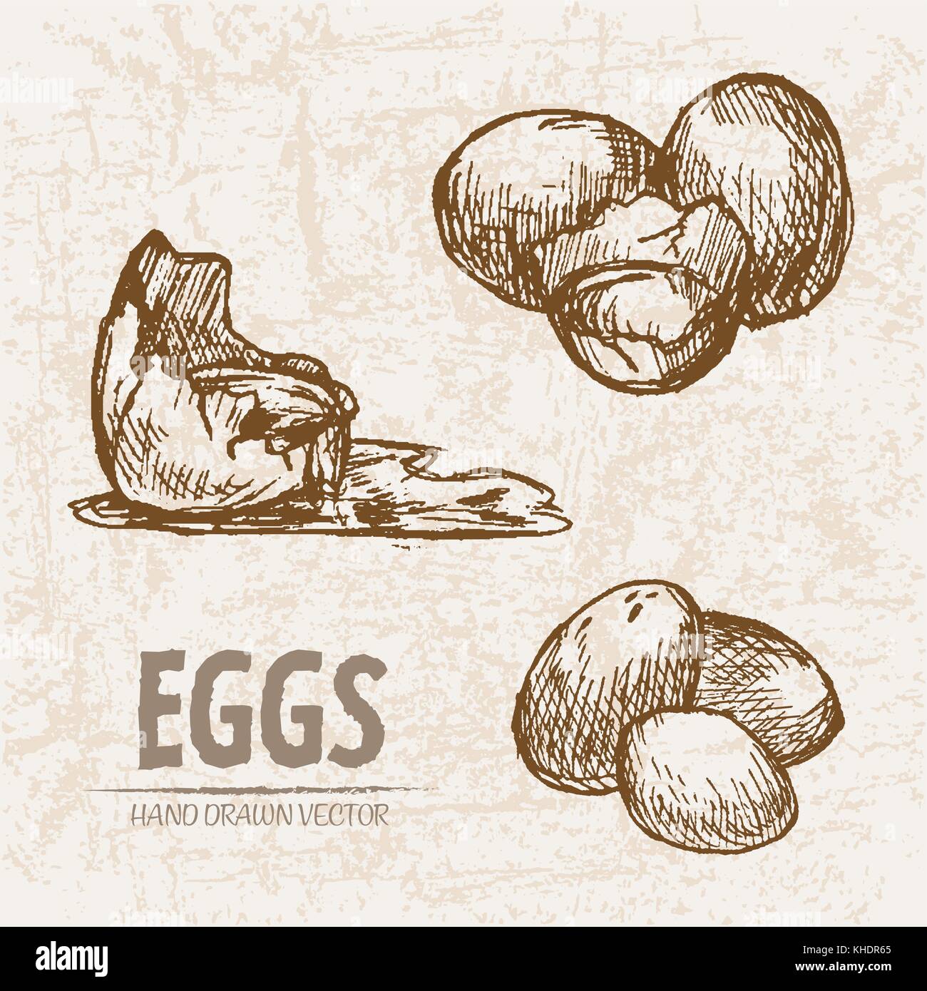 Digital vector detailed line art splitted scratch and whole eggs hand ...
