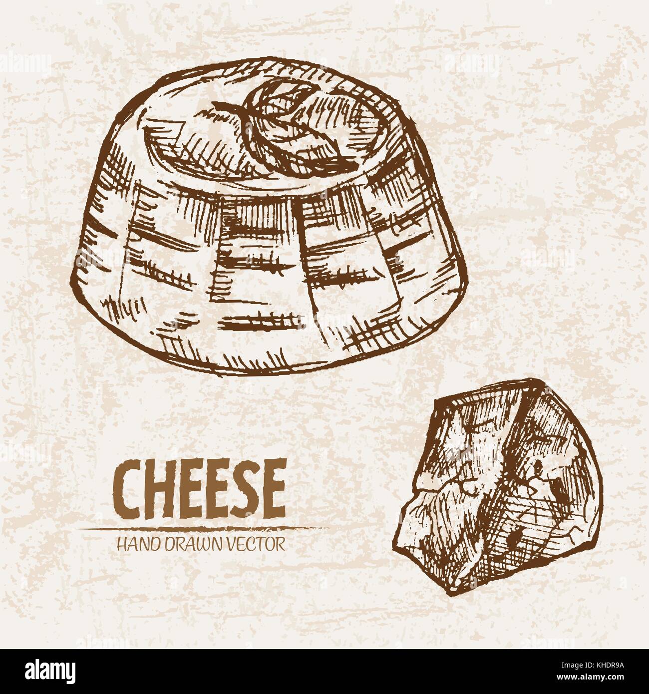 Digital vector detailed line art round sliced cheese hand drawn retro ...