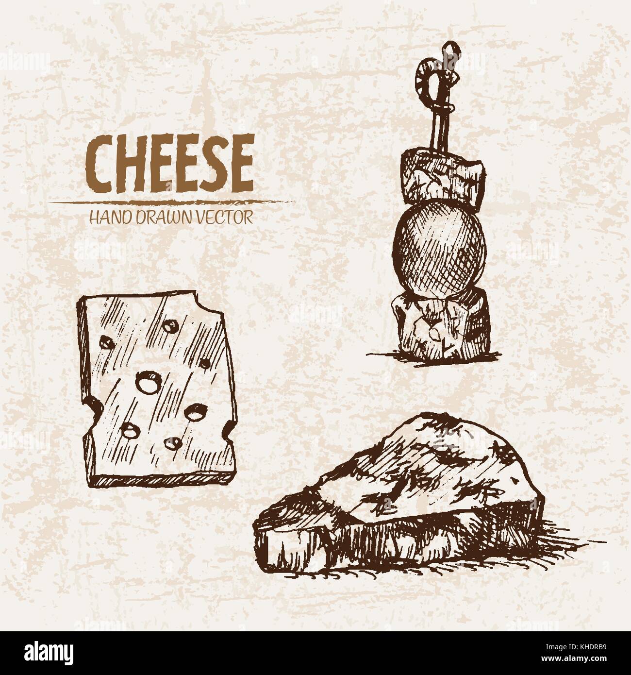 Digital vector detailed line art sliced cheese on skewer hand drawn ...