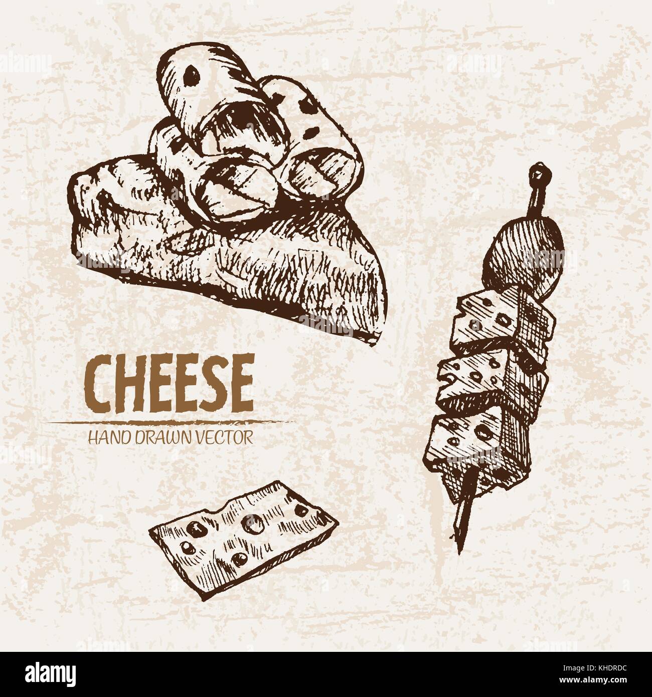 Digital vector detailed line art sliced cheese on skewer hand drawn ...