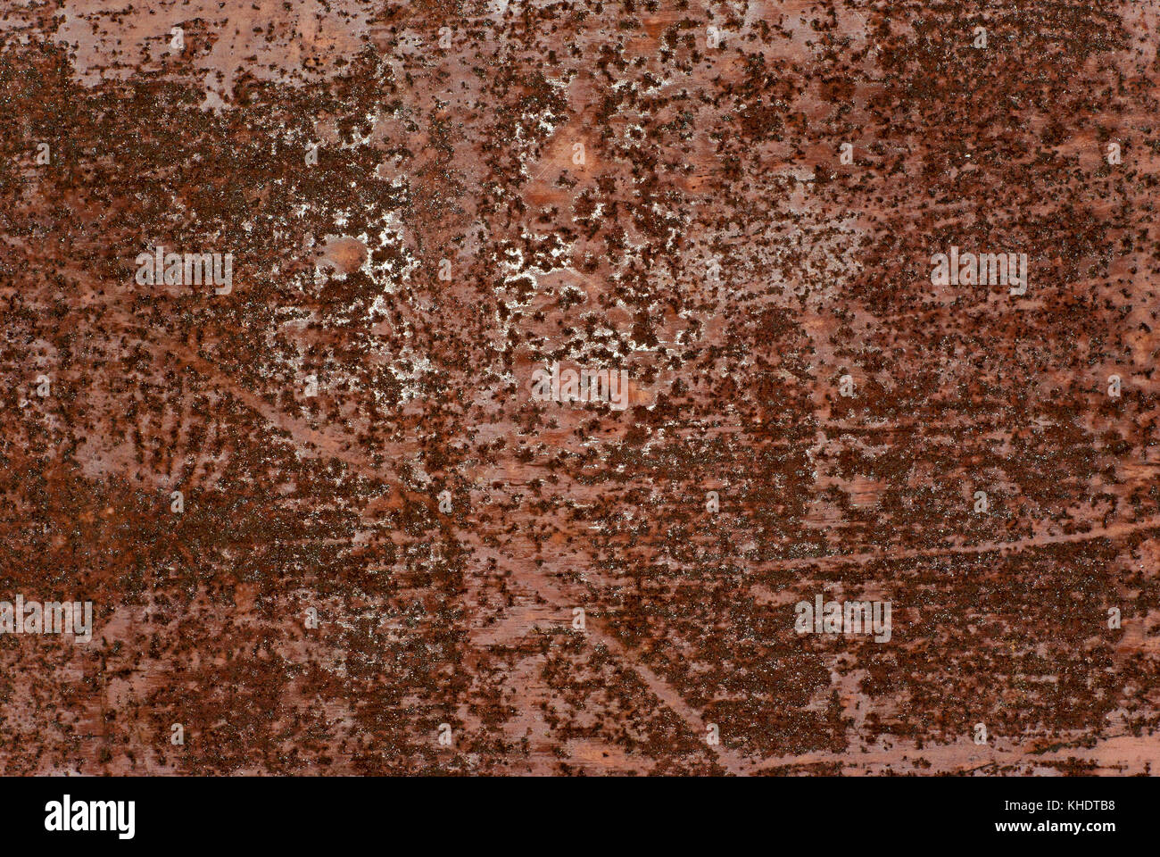 background, texture: surface of primed metal sheet with spots of rust ...