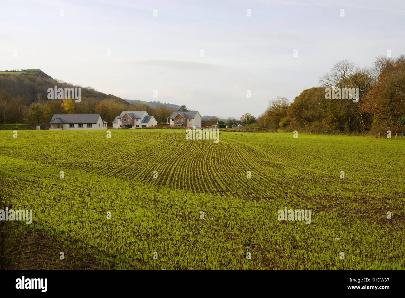 New rural affordable housing hi-res stock photography and images - Alamy